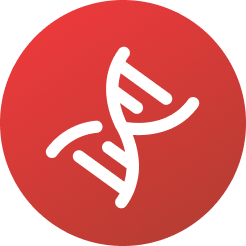 NETBAY IS AN INNOVATIVE TECHNOLOGY COMPANY